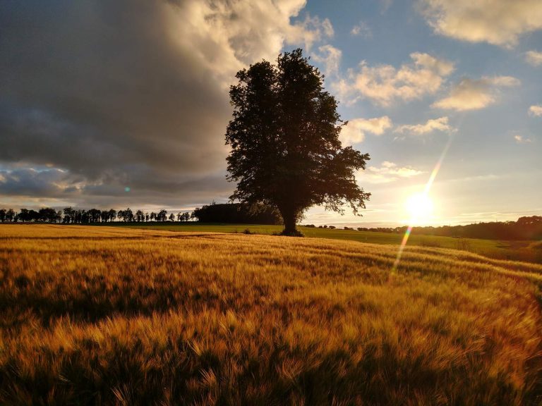 Visit | Midlands Ireland