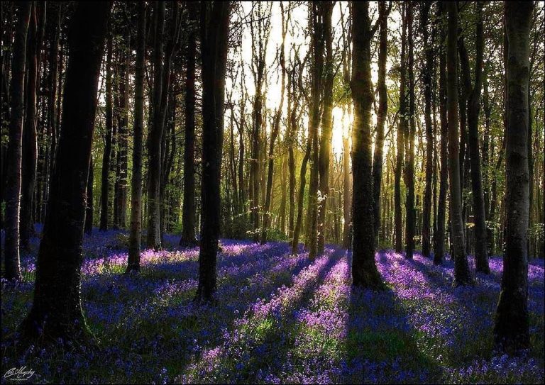 Visit | Midlands Ireland