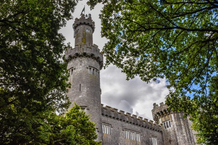 A look inside Charleville Castle, Tullamore, Offaly